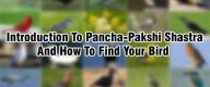 Pancha Pakshi Shastra: How it Influences Your Personality?