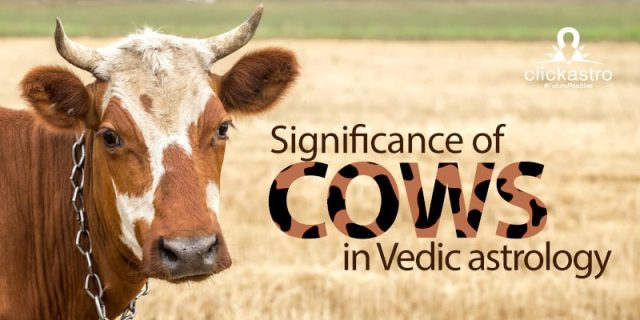 Significance of Cows in Vedic Astrology