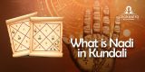 What is Nadi in Kundali?