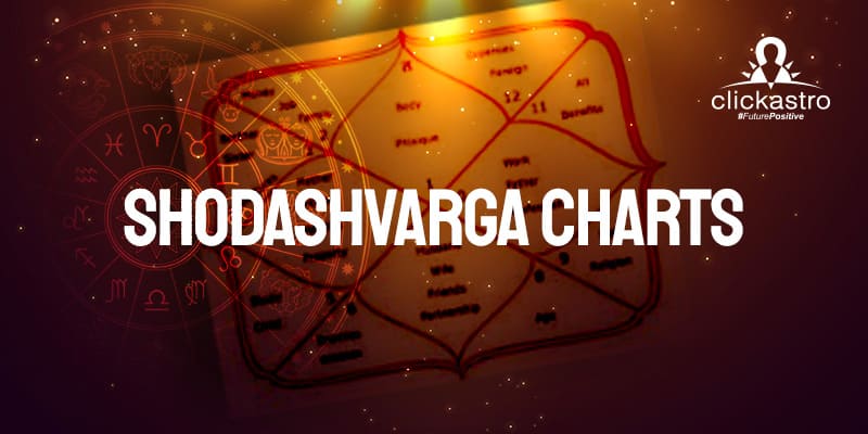 Discover the 16 Divisional Charts - Citys Cith